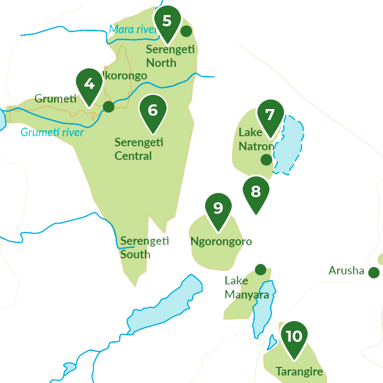 BS226 - Hotel Zanzibar | Your place to relax!