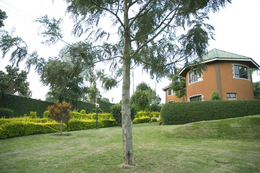 Africa Safari Arusha Accommodation - Hotel Zanzibar | Your place to relax!